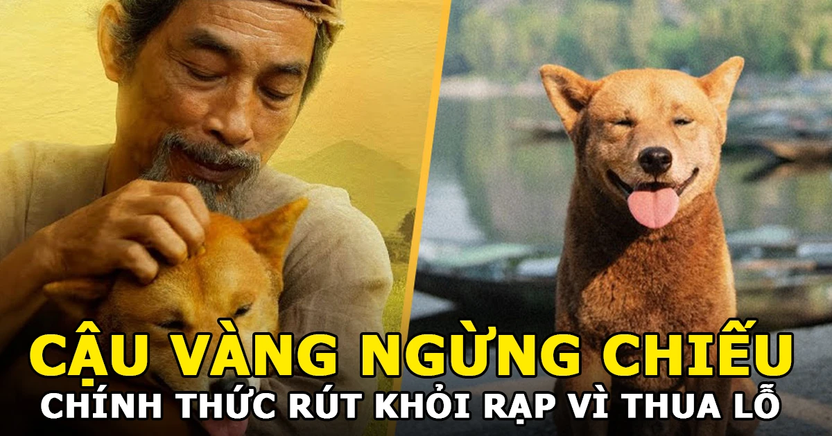 "Golden Boy" withdrew from the theater because of a loss of more than 30 billion | Where did ...