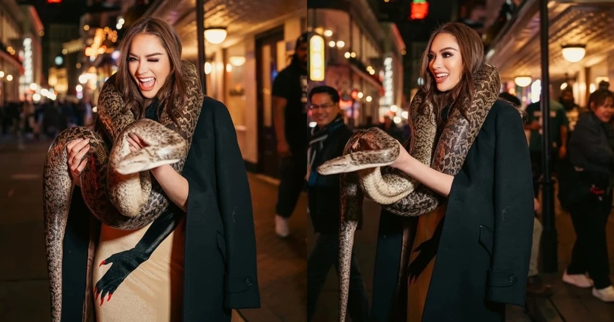 Miss Universe Thái Lan phạm phải sai lầm nghiêm trọng, nguy cơ bị gạch tên khỏi top 10 ...