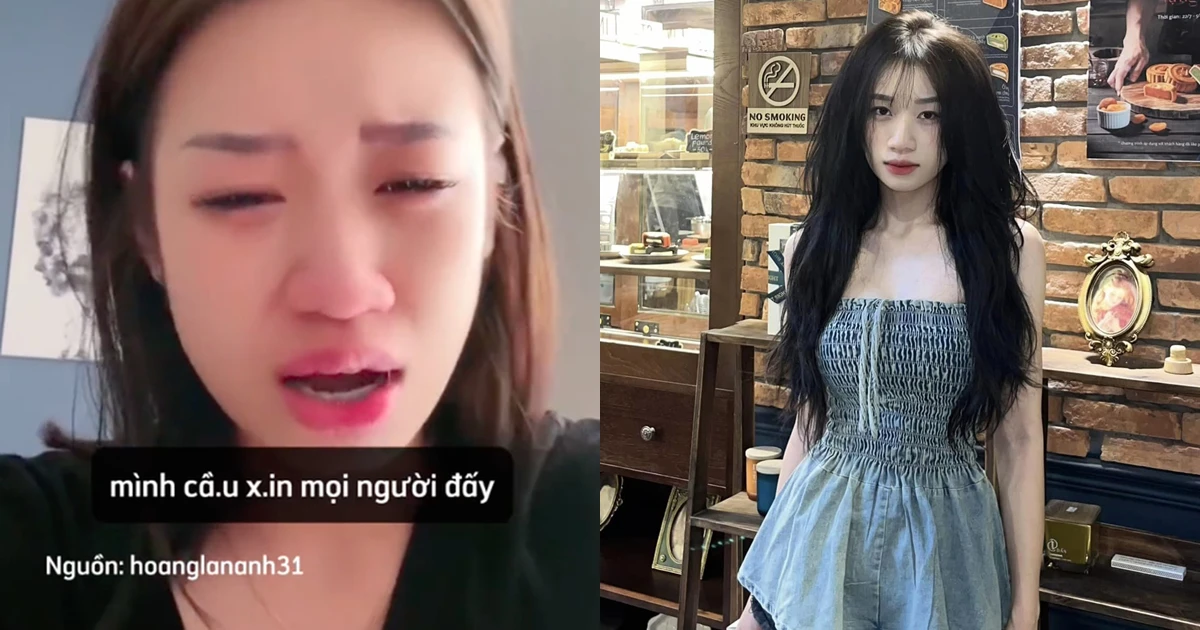Tiktoker Hoàng Lan Anh Bị Dính Phốt Khóc Nức Nở Cầu Xin Cộng đồng Mạng Hot Kols Đời Sống