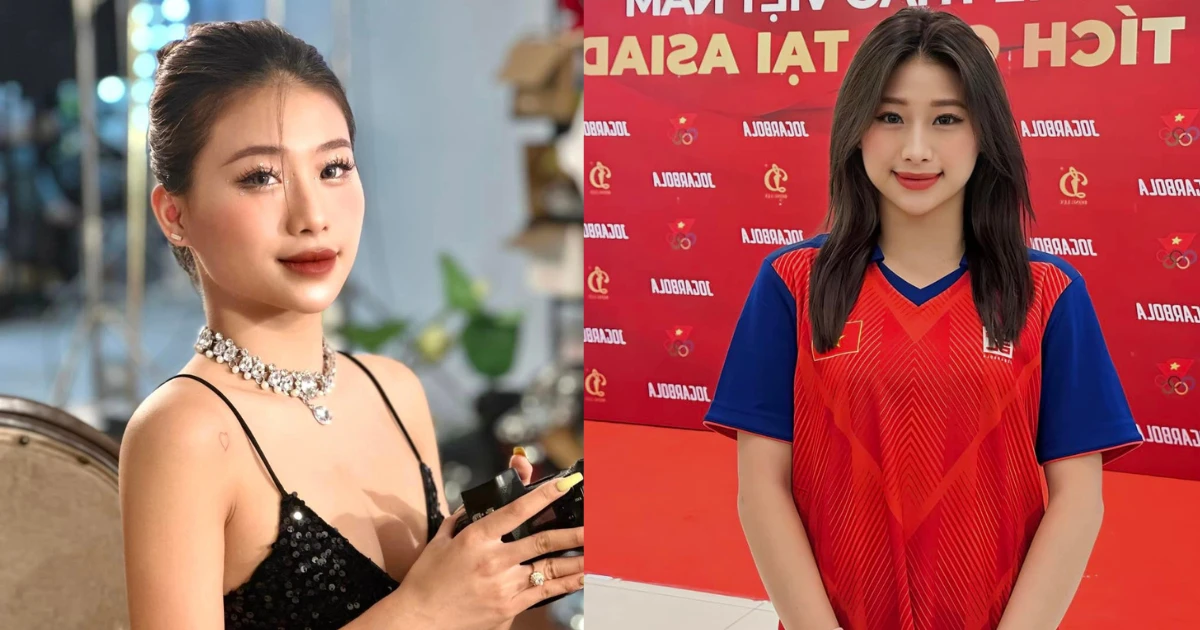 Pham Nhu Phuong was accused of spreading offensive paintings about the national flag, what did ...