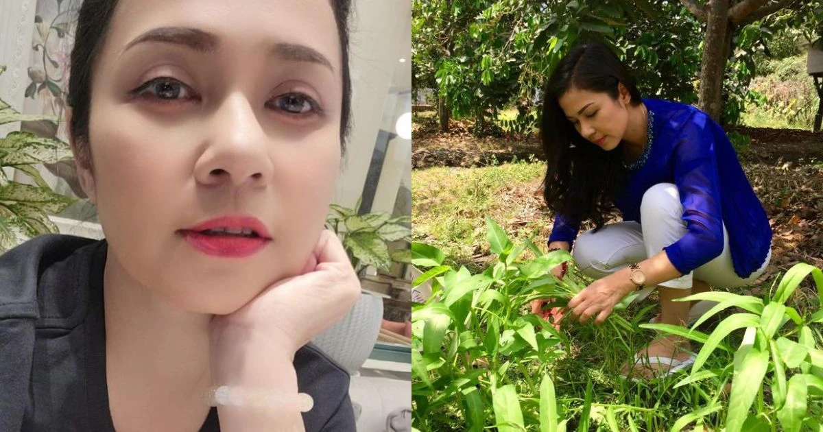 Viet Trinh reveals the past to oppress colleagues, how is the karma of awakening now ...